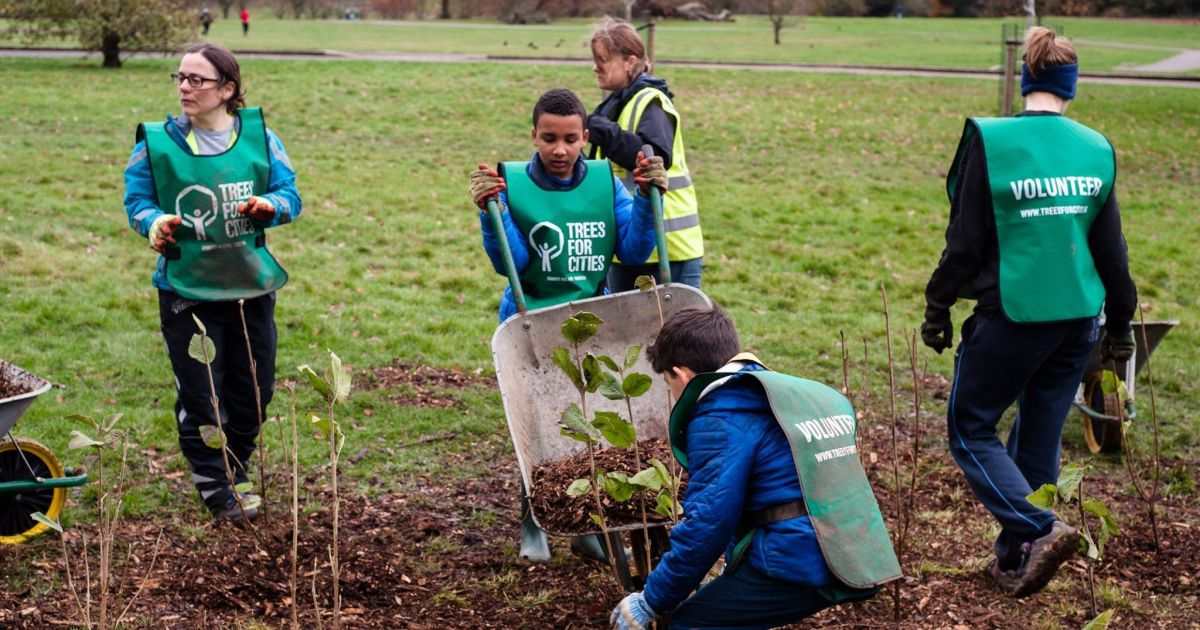 Our work | Trees for Cities