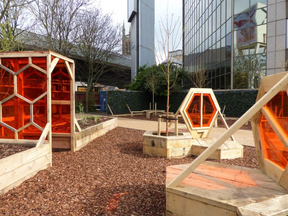 Schools | Trees for Cities