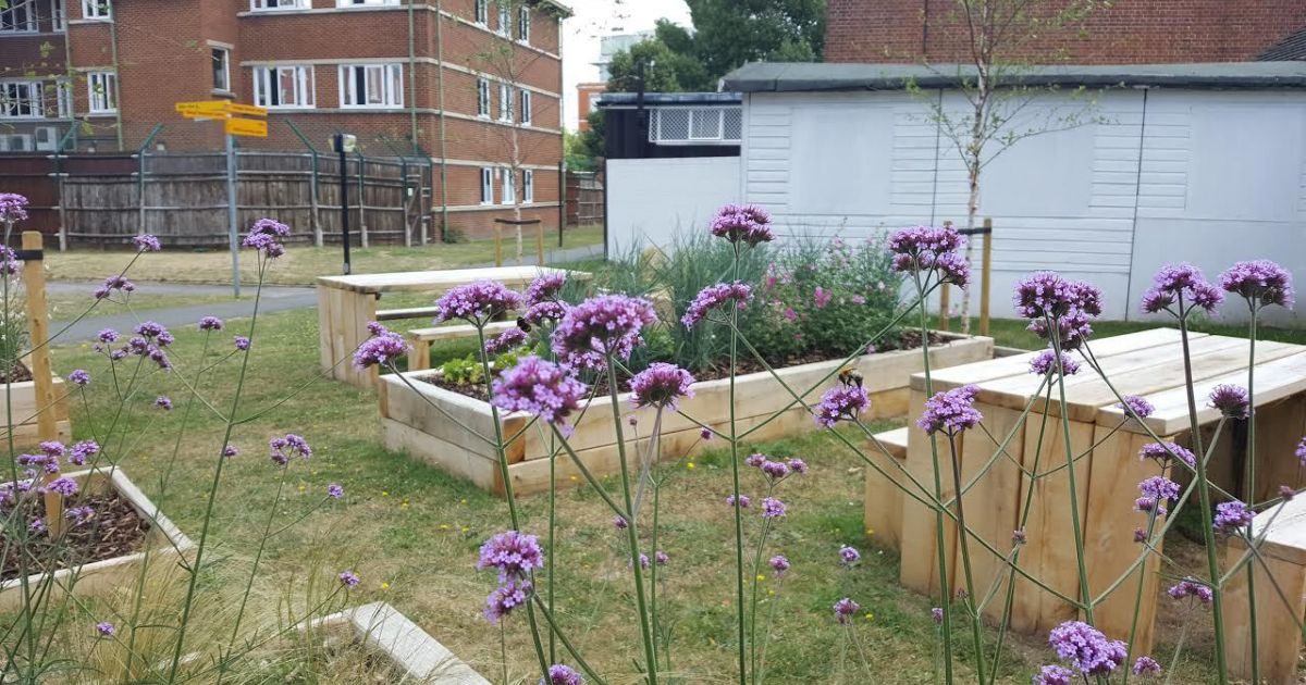 Horticultural Therapy Garden | Trees for Cities