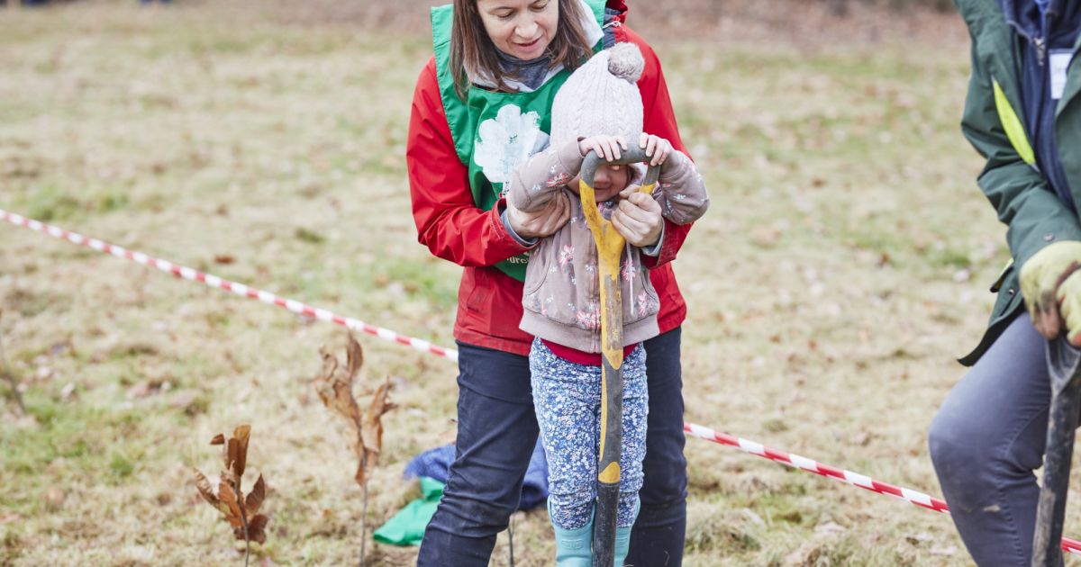 Mass tree planting | Trees for Cities